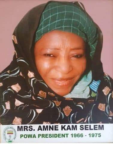 Alhaji Kam Salem ,First IGP From Northern Nigeria - Nigerian Tracker News