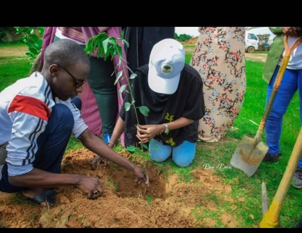 Plan to plant one million trees through crowdfunding gathers 6,000 ...